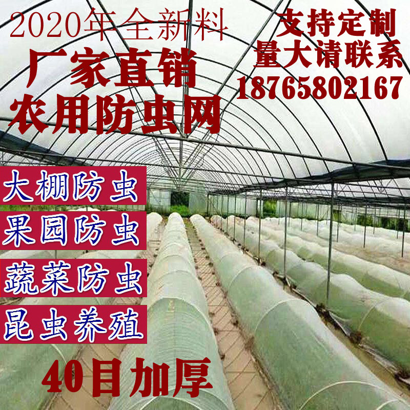 防虫网40目蔬菜水果大棚网罩连栋聚乙烯蚂蚱养殖脐橙草莓棚农用网
