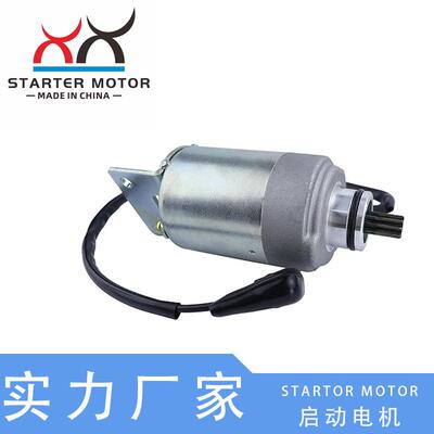 0453024, 0453778启动电机 马达适用北极星Phoenix 200 2005-2021