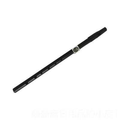 正品爱六尔兰哨笛学者入门孔金属笛初调D高音专业学生成人黑色笛