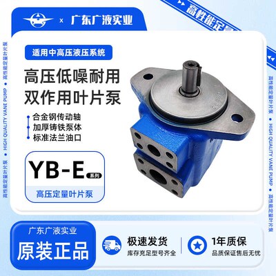 广液叶片泵YB-E160高压油泵YB-E200/E16/E25/E32/E40/E50/E63/E80