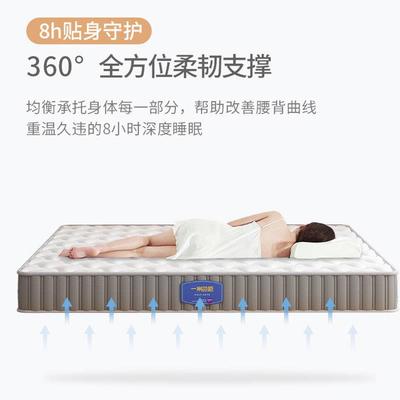 簧一米硬彩加厚床垫WFE软垫榻榻米垫子色软双面两用弹床垫家用卧