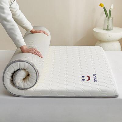 新款用床品单垫边烫画褥针织NLH棉乳胶床软垫卧家室子垫秋冬铺底