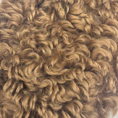 安羊拉卷毛卷面料拉美羊绒哥毛绒仿皮草服装箱包JUD鞋帽毛绒布料