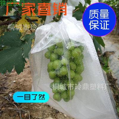 天半无纺布半透明膜水果露套防虫防TUE鸟葡萄袋套加印袋logo