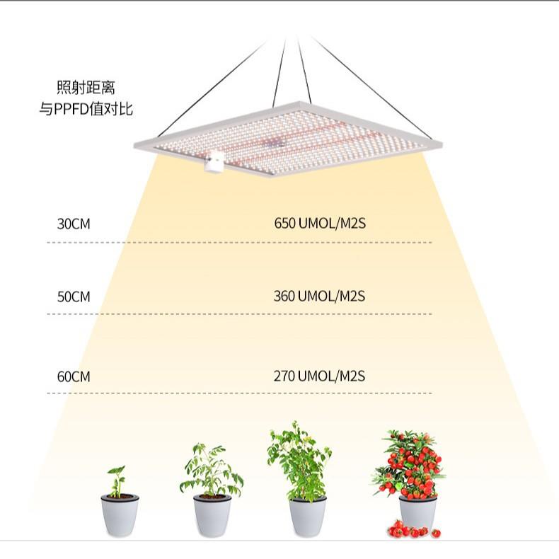 e100量板植物生长AIM灯叶菜樱桃全子光谱大棚花W卉补光灯ld
