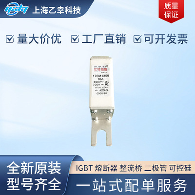 巴斯曼熔断器170M1762-1773