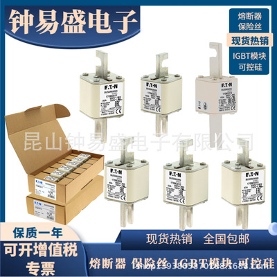 Bussmann熔断器690V 125A  170M3013 170M3063 170M3163 170M3213