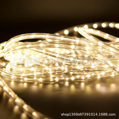 LED圣诞节装软饰子灯日户外防水灯带220V高压铜线XTO管灯