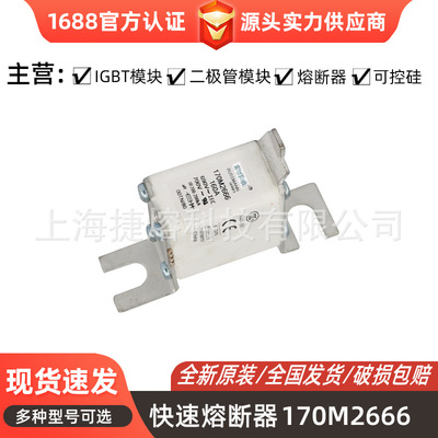 170M2666 170M2667 快速熔断器  电子元器件 型号齐全 量大价优