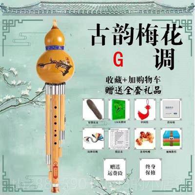 高档金丝竹七孔葫芦丝楠乐人器C调降调小学生成儿童初学者专业B演
