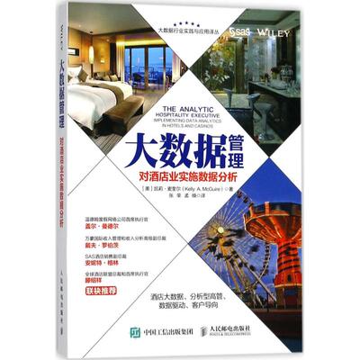 正版图书 大数据管理 (美)凯莉·麦奎尔(Kelly A.McGuire) 著；张荣,孟唤 译 人民邮电出版社