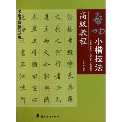 正版新书 启功小楷技法高级教程/名家书法技法丛书 9787536245242 岭南美术