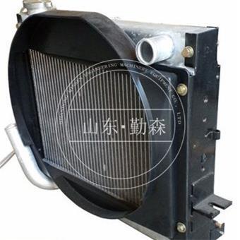 自卸车配件7型号齐全HD319185水箱总成56-3-816044