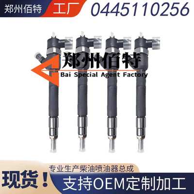 0445110255 0445110256 共轨喷油器国五喷油嘴总成 33800-2A400
