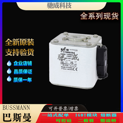 巴斯曼快熔保险丝170M6595-6597