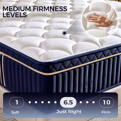 Luxury Modern 5 Star Hotel Euro Top Hypo-allergenic Mattress