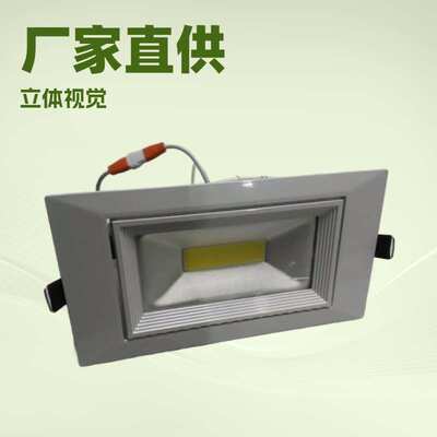外贸热销COB LED45W40W35W30W25W20W长方形象鼻灯成品及套件射灯
