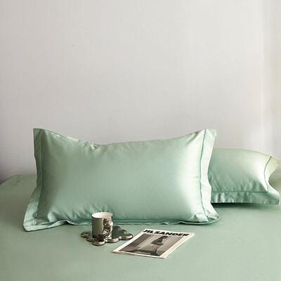 新款纯棉长UEG绒棉套一对枕装简全棉色贡缎纯单人枕头约套家用枕