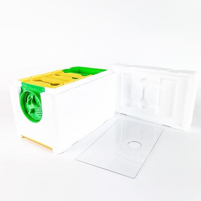 养蜂工具泡沫蜂箱绿色交尾箱蜂王饲养交配蜂巢Nuc箱蜜蜂箱储备