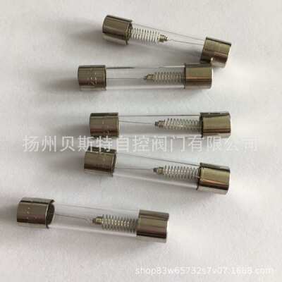 进口BUSS电动执行器玻璃保险丝T250MA1000V TDC11-250MA 1000VAC