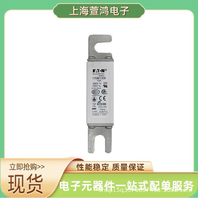 170M6044 170M6048 170M6058 170M6059原装保护器  熔断器标准