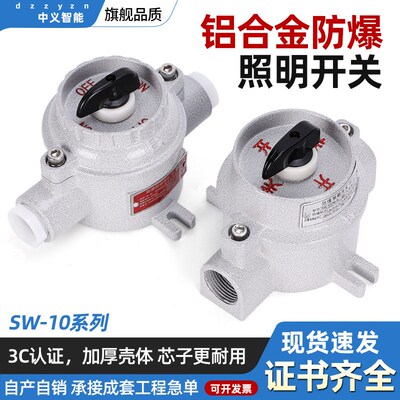 SW-10防爆照明开关220V控制转换IIC国标电源灯10A单联双380V工业
