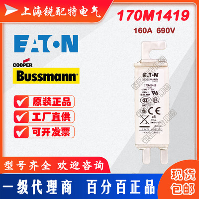 170M1419 快速熔断器 690V 160A 巴斯曼BUSSMANN快速熔断器