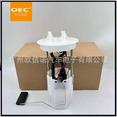 CN159H307CD,CN159H307CB适用于福特EcosportGRANDCMAX燃油泵总成