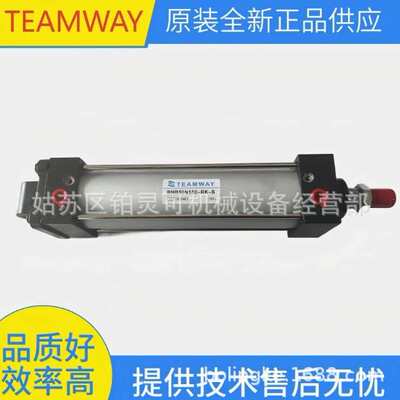 TEAMWAY气压缸TA32N125-A-S DNB50M55-CG-LN02A-2 DNB40M680SH
