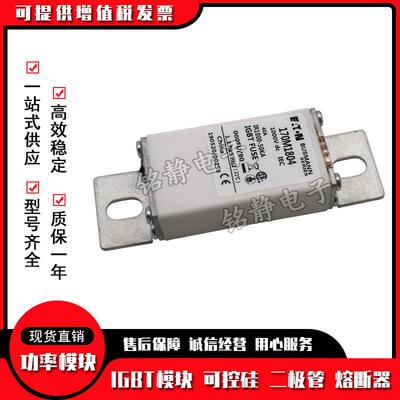 170M7513 170M7515 170M7516 170M7978巴斯曼熔断器现货
