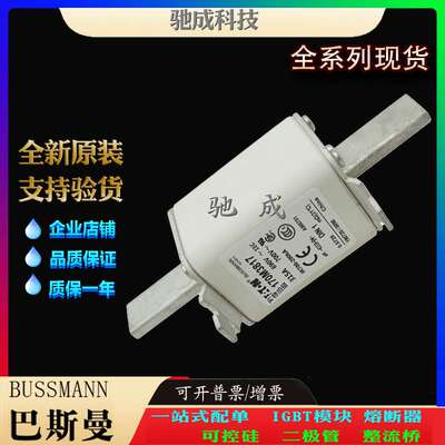 巴斯曼170M3816 170M3813 170M3817 厂家供货 销售 高速熔断器