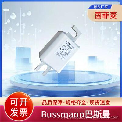 巴斯曼170M5238 170M5239 170M5240 170M5241 170M5242 170M5243