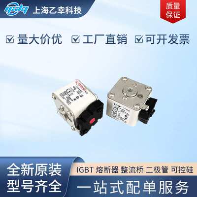 巴斯曼熔断器   170M4567 170M4568 170M4569 170M4608 170M4609