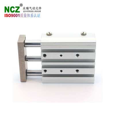 NCZ永瑞 导杆气缸 三轴MPGM/TCM系列 12 16 20 25 32 40 50 63 80