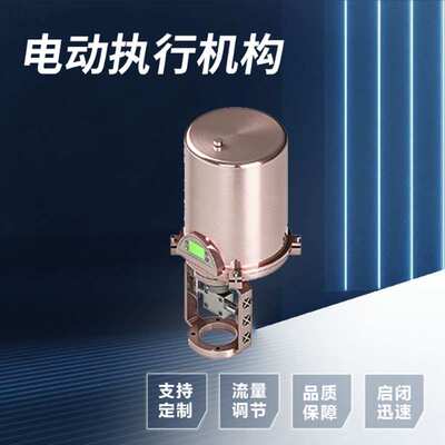 381LSB-30 381LXB-30 381LSB-50 381LXB-50 直行程电动头