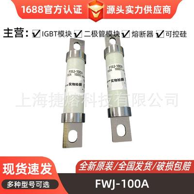 FWJ-100AFWJ-120A快速熔断器保险丝电子元器件量大价优