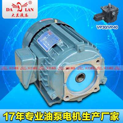 3HP5.5HP大兰DALAN内轴液压电机VP30油泵专用电机DL-112M-4-4KW