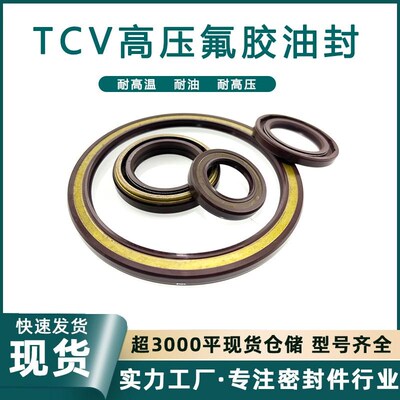 TCV/TCN耐高温耐高压骨架油封内径12-22 BABSL TBV油泵马达氟胶圈