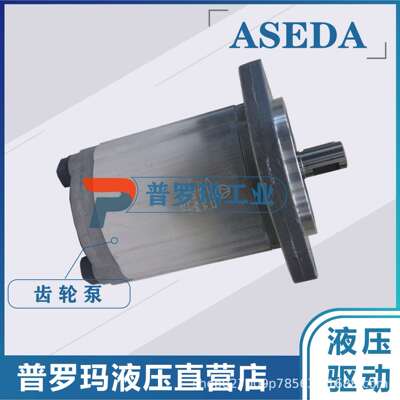 ASEDA齿轮泵SP197-32 SP197-40 SP197-50 SP197-55 SP197-63油泵