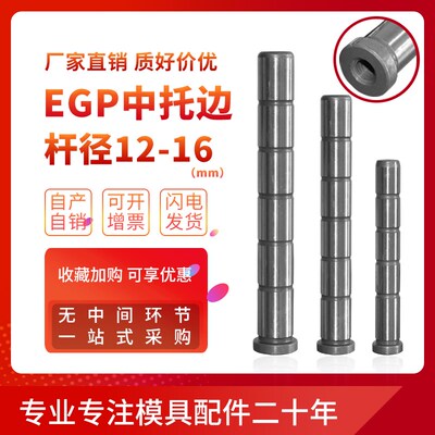 标准模架精密导柱导套模具配件直司托司EGP中托边导柱12/16