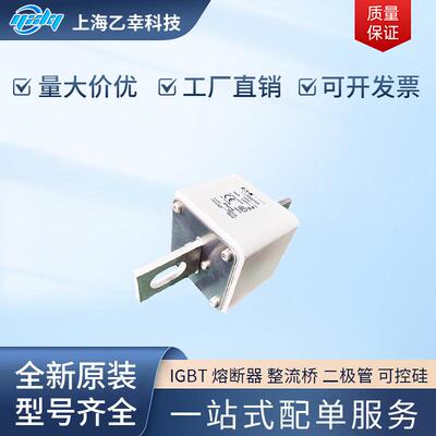 巴斯曼熔断器 170M6866 170M6867 170M6868 170M6869 170M6870