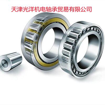 INA轴承SL045020PPSL045052-PPSL06020-DSL045012