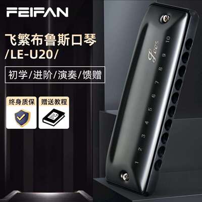 FEIFAN飞繁十孔c调圆孔布鲁斯口琴U20paddy蓝调学生演奏蓝调口琴