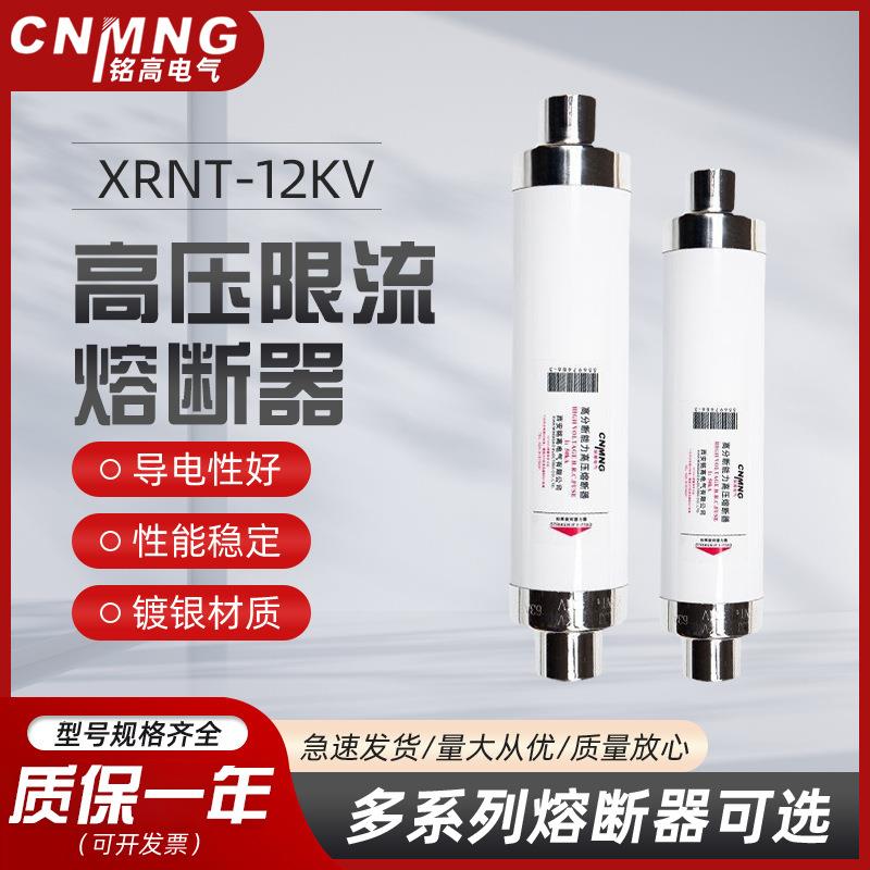 负荷开关用10-12KV户内高压限流熔断器XRNT1/SFLDJ变压器保护125A