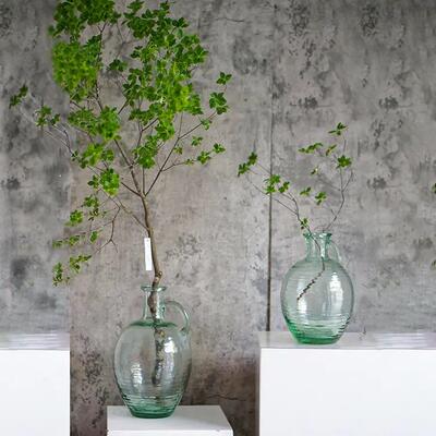 吕林霞壶型提手玻璃花瓶吊钟花瓶设计新品工艺品摆件花盆耳朵花瓶