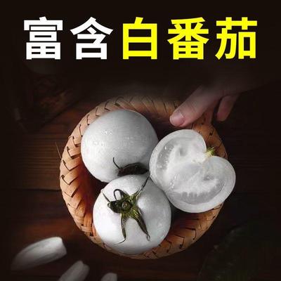 Noblebase【送1瓶】美国白番茄胶原蛋白淡斑抗皱祛黄气提亮肤色