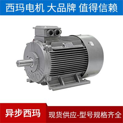 YE2-200L2-6 22KW IP55/F级 B3节能电动机 西安西玛电机