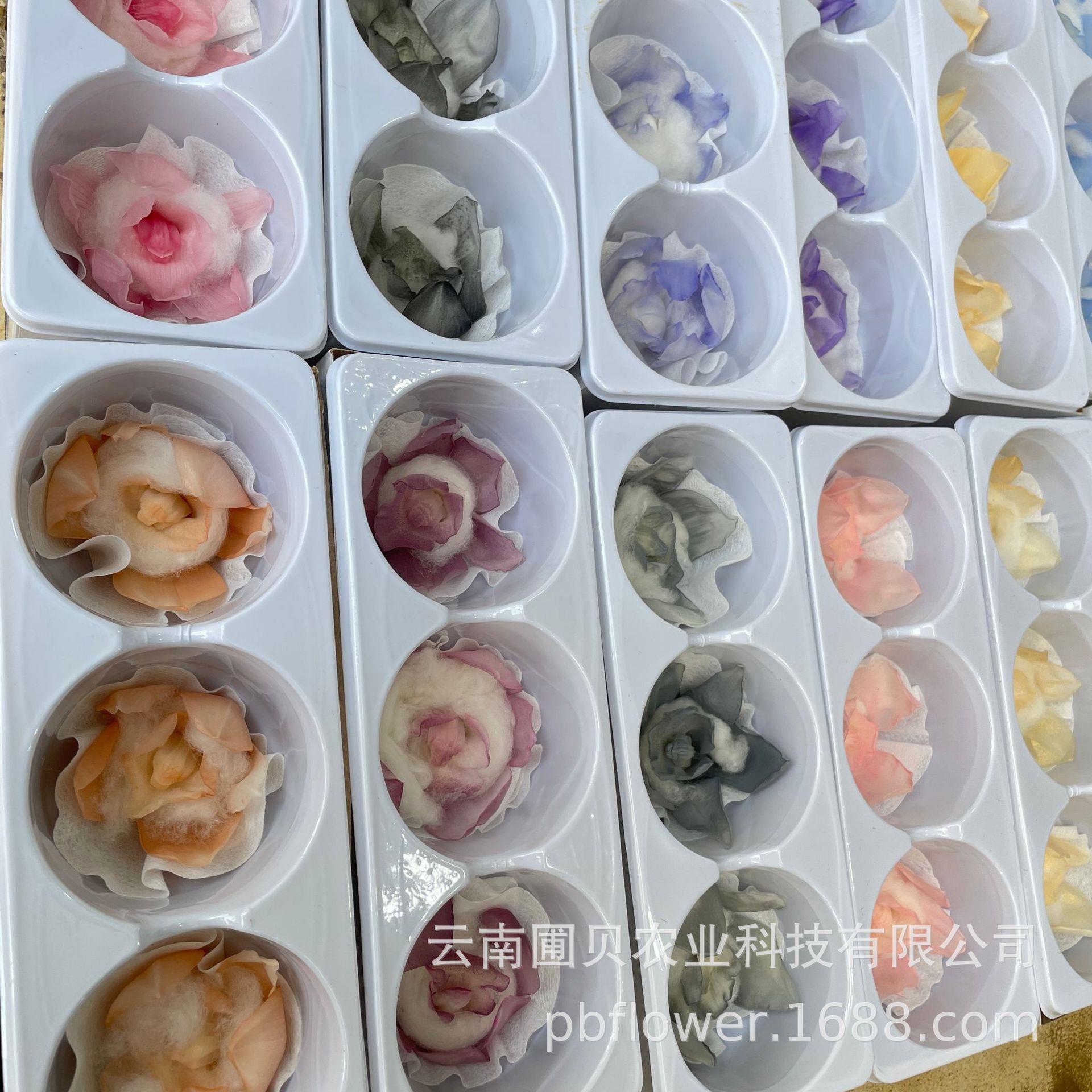 花者高级插花花盒DIY花材 高质感永生蝴蝶兰花头多色