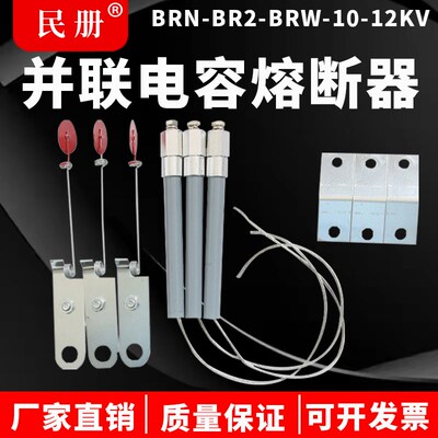 BR2 BRN BRW-10-12KV高压并联电容器10A15A25A30A45A熔断器保险丝