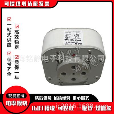 170M7078 170M7079 170M7080 170M7081巴斯曼熔断器现货170M7082